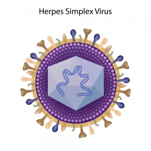 L'herpès oculaire | Fil santé jeunes