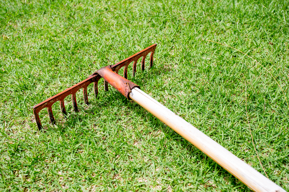 Se prendre un râteau | Fil santé jeunes